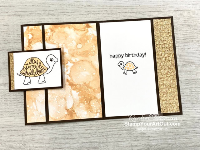Shell-ebrating Turtle Z-Fold Card - Stamp Your Art Out!