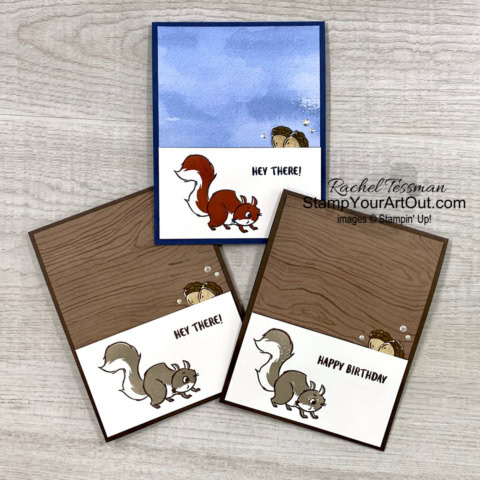 Nuts About Squirrels Simple Slide Out Card - Stamp Your Art Out!