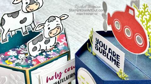 Hexagon Platform Pop-Up Cards – Part 1 of 2 - Stamp Your Art Out!