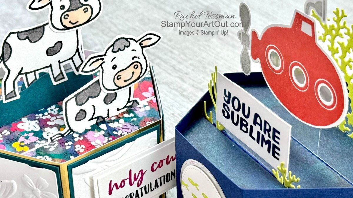 Hexagon Platform Pop-Up Cards – Part 1 of 2 - Stamp Your Art Out!