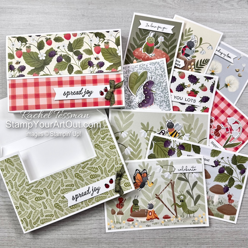Cute As a Bug Box of Cards - Stamp Your Art Out!